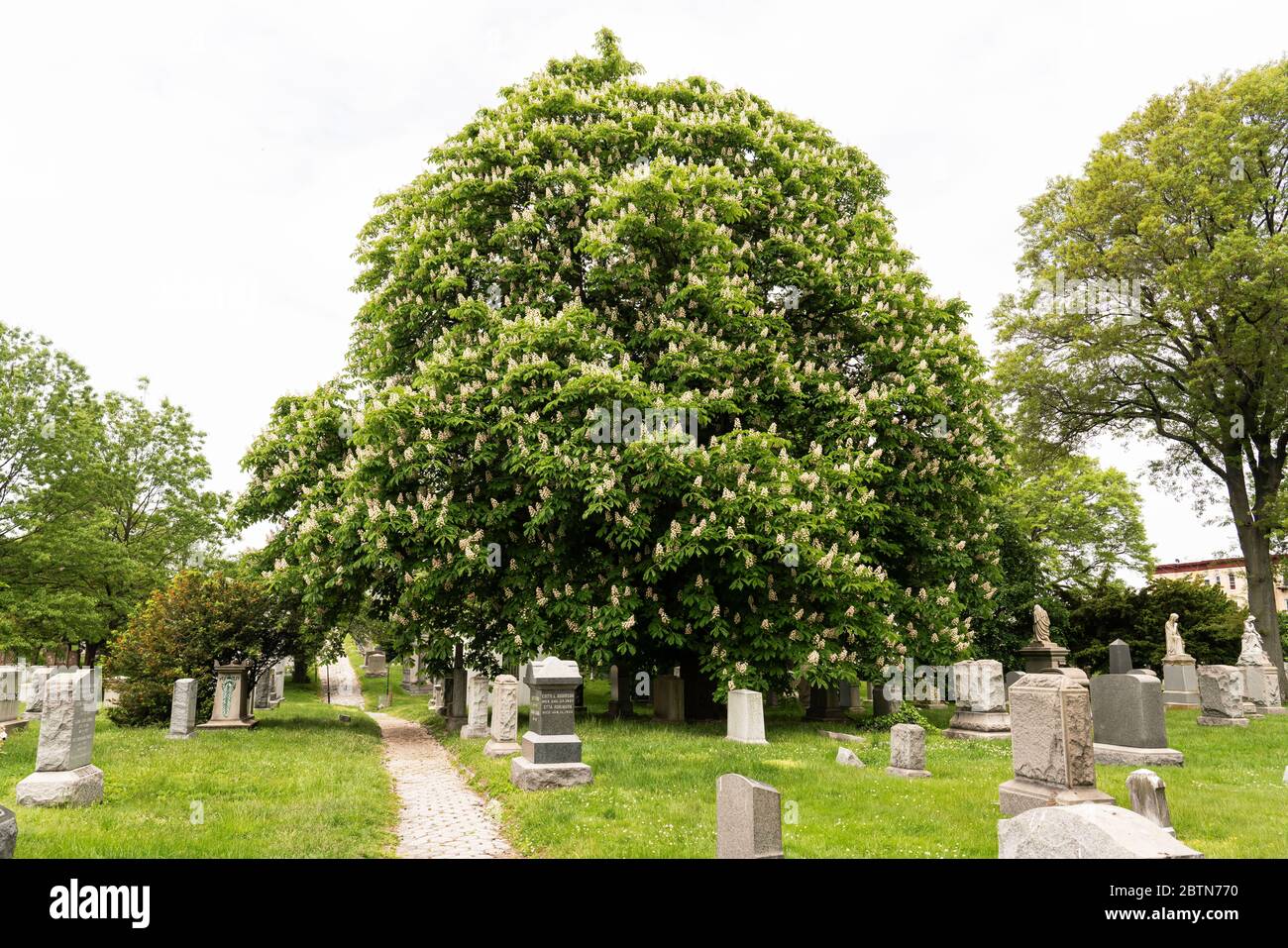 Brooklyn, New York, USA - Green-Wood Cemetery: National Historic ...