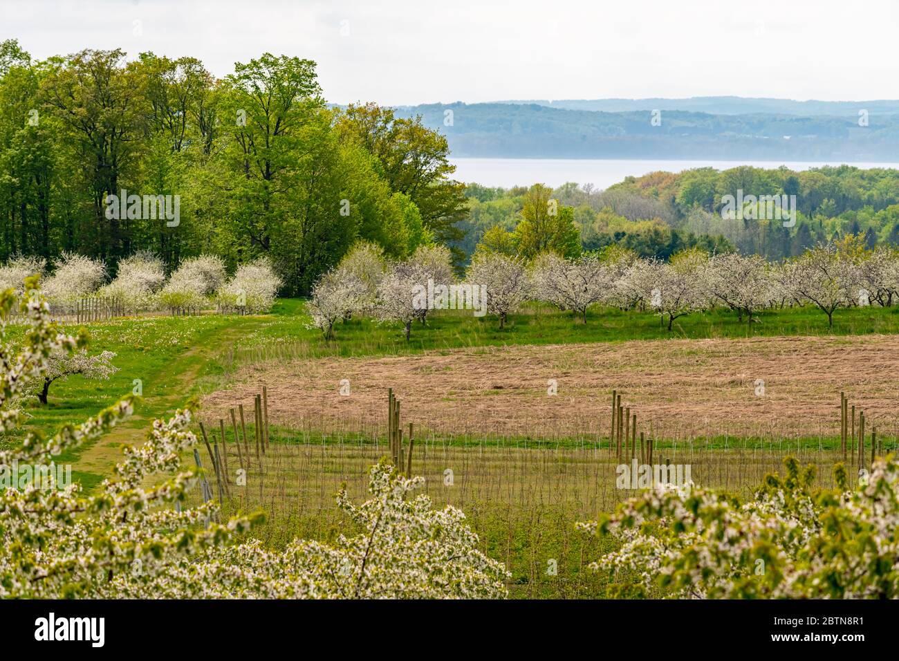 Cherry orchard usa hi-res stock photography and images - Alamy