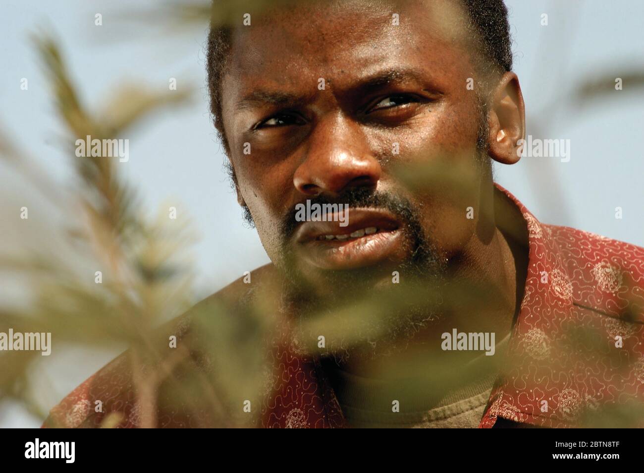 catch a fire Stock Photo - Alamy