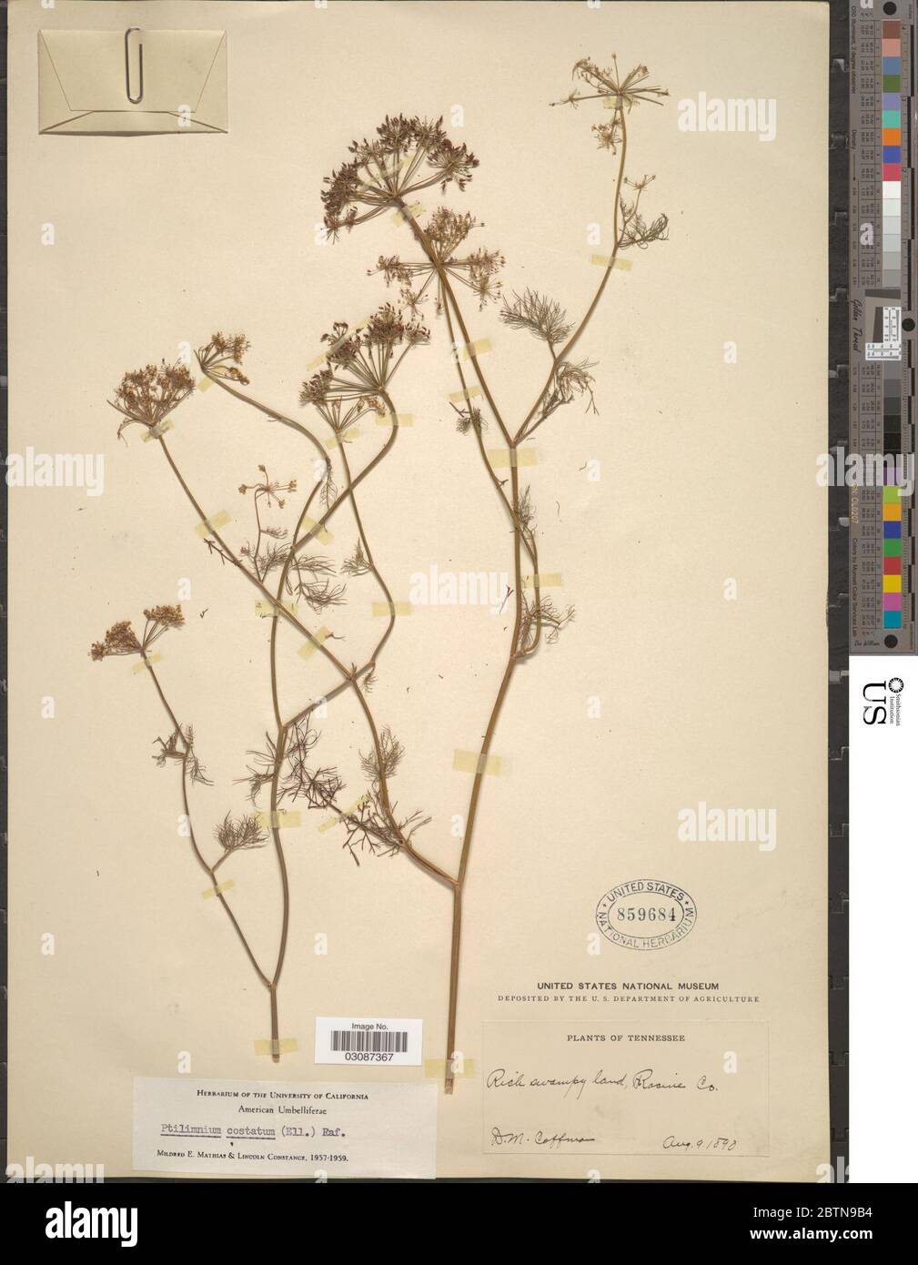 S raf hi-res stock photography and images - Alamy