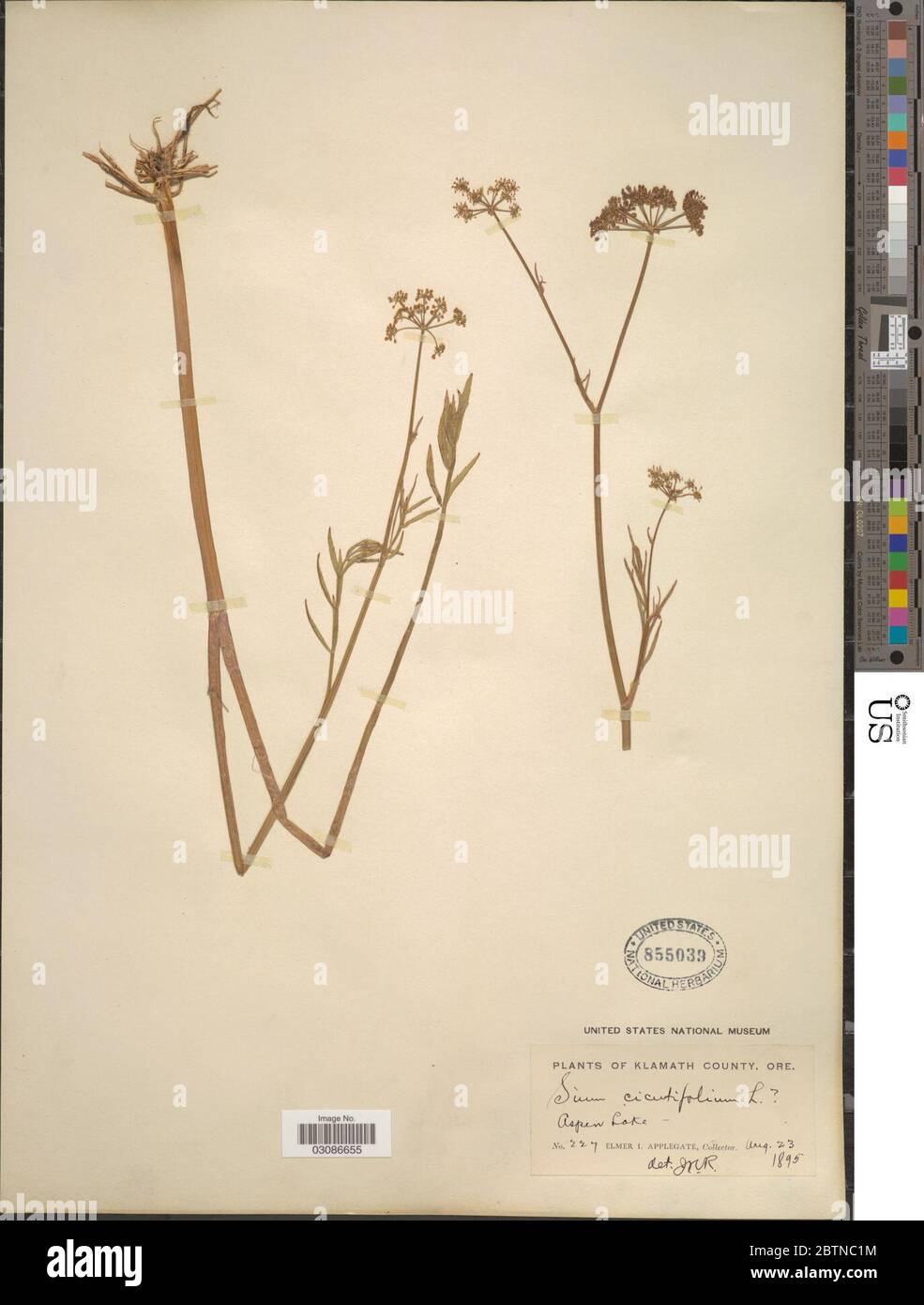 4 suave hi-res stock photography and images - Alamy