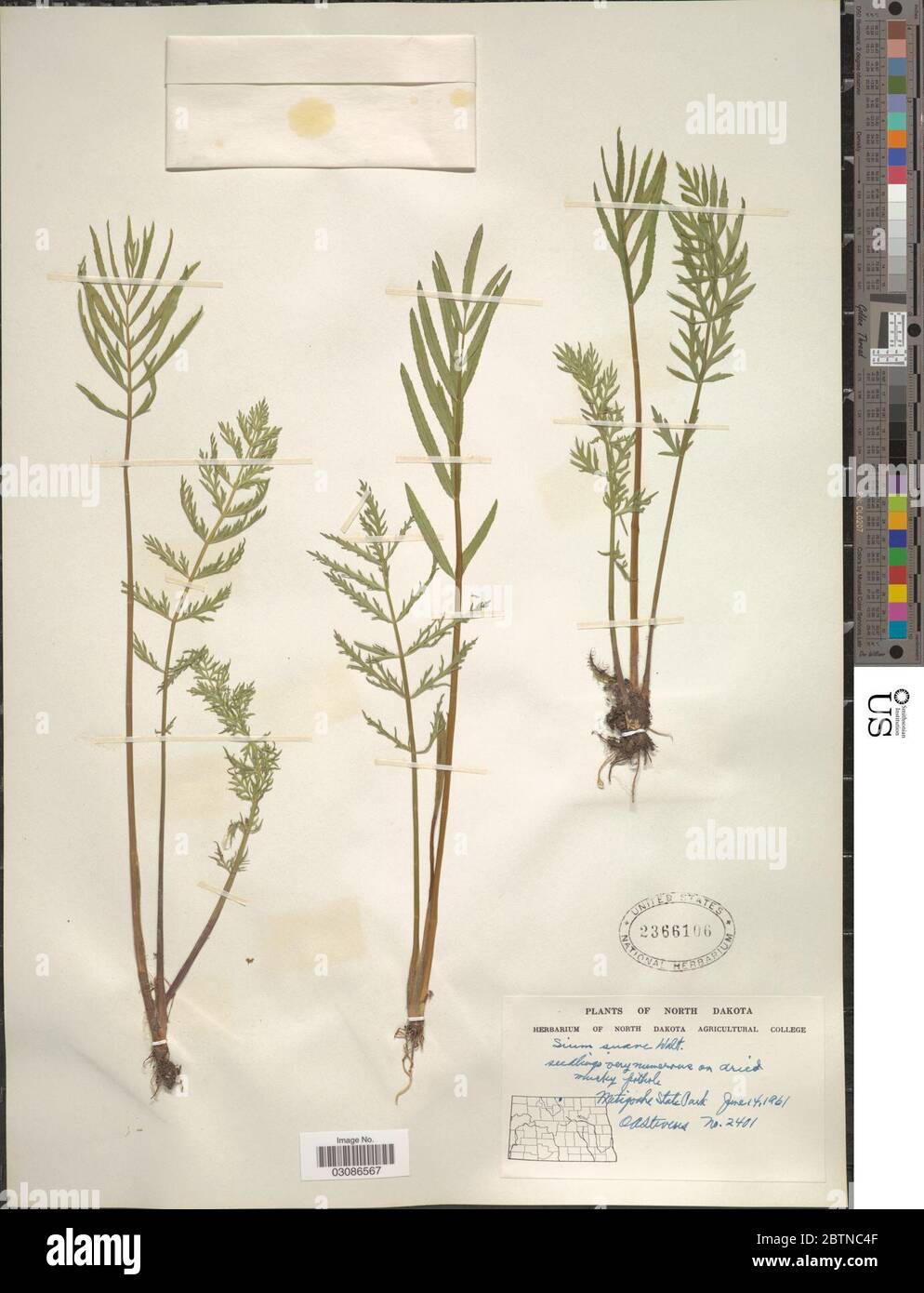 4 suave hi-res stock photography and images - Alamy