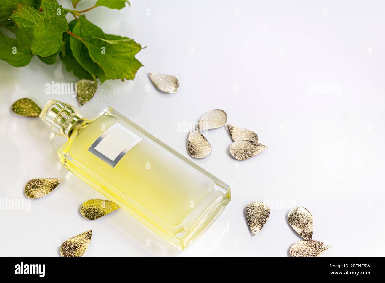 Bottle with male cologne. Surrounded by brilliant objects and green ...