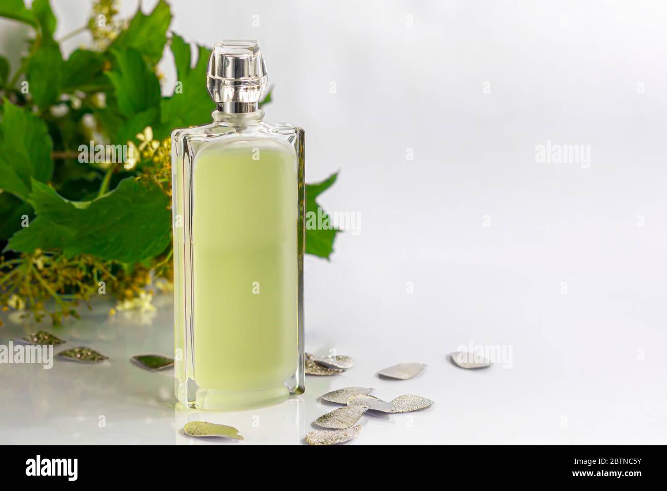 Bottle with male cologne. Surrounded by brilliant objects and green ...