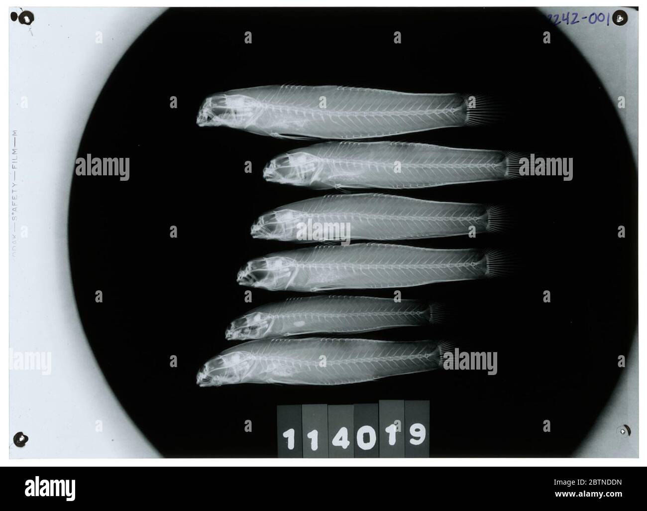 03 u Cut Out Stock Images & Pictures - Alamy