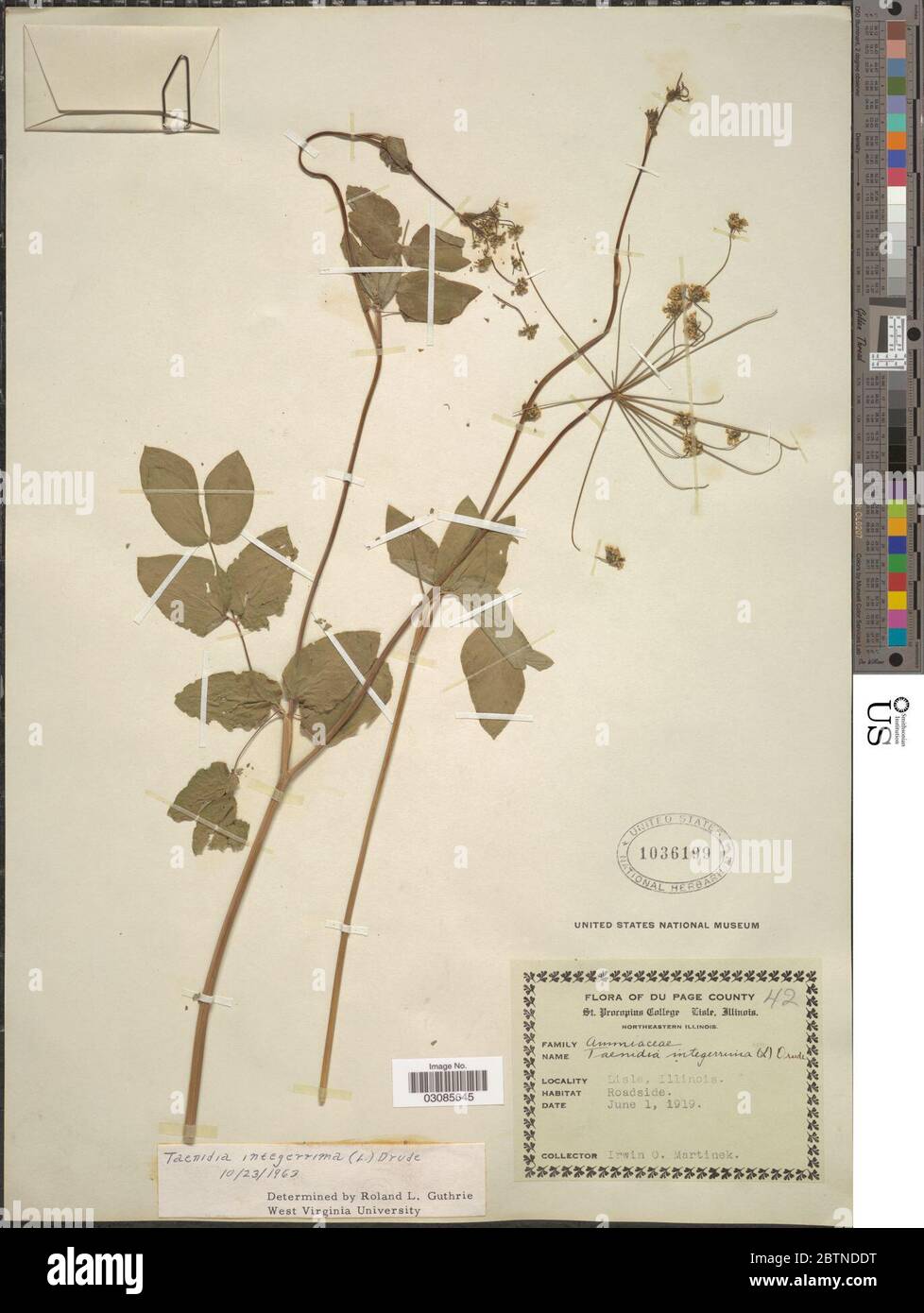 Drude hi-res stock photography and images - Alamy