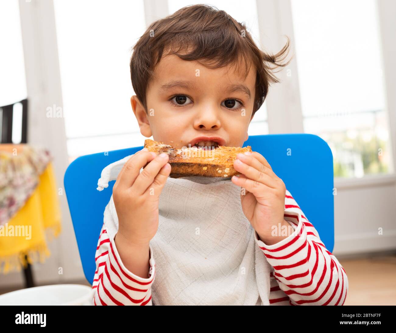 Toddler eating a toast Stock Photo - Alamy