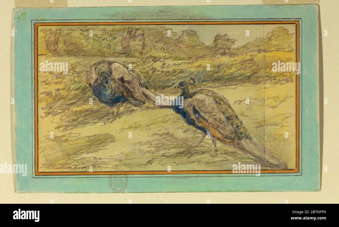 Birds facing each other hi-res stock photography and images - Alamy