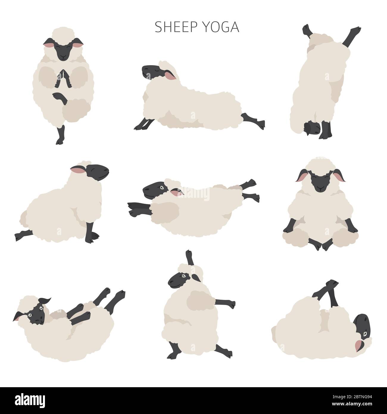 Sheep yoga poses collection. Farm animals set. Flat design. Vector ...