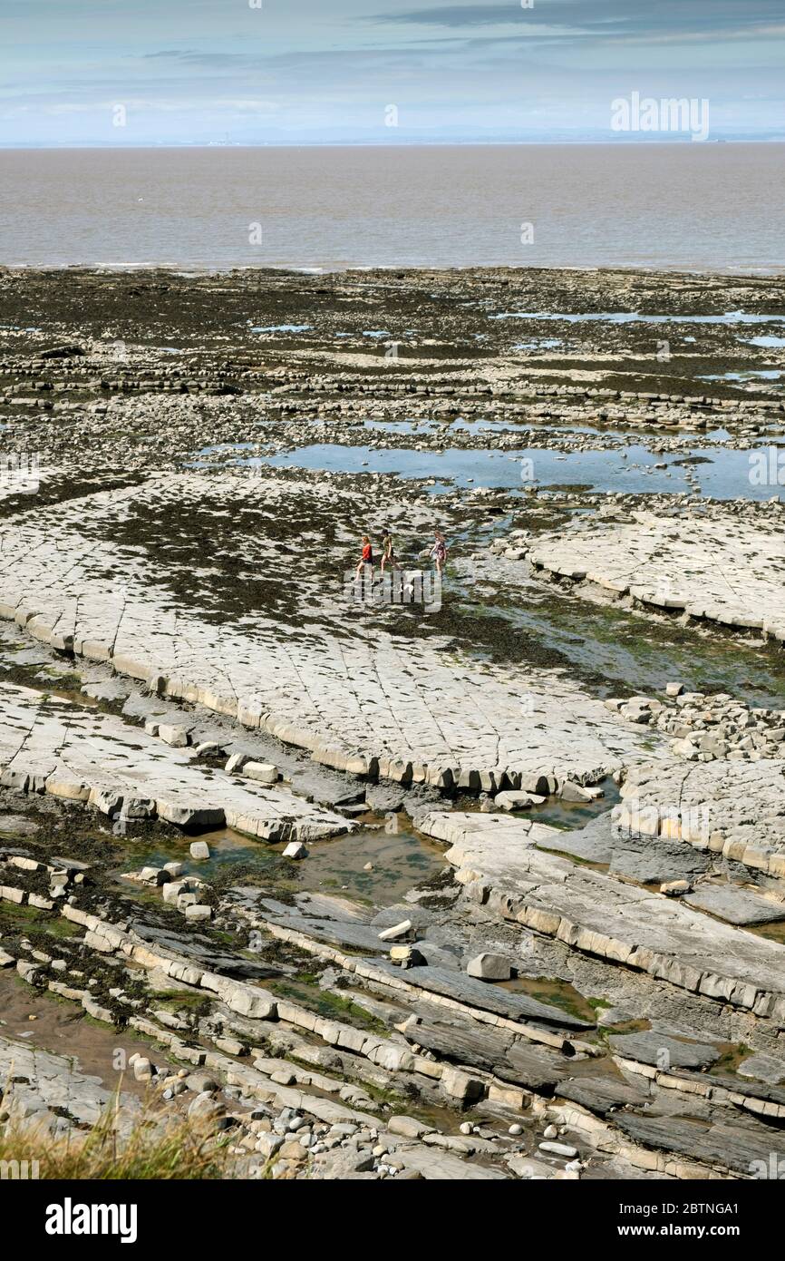 Kilve Beach, Somerset, UK, known for it's shale oil deposits and ...