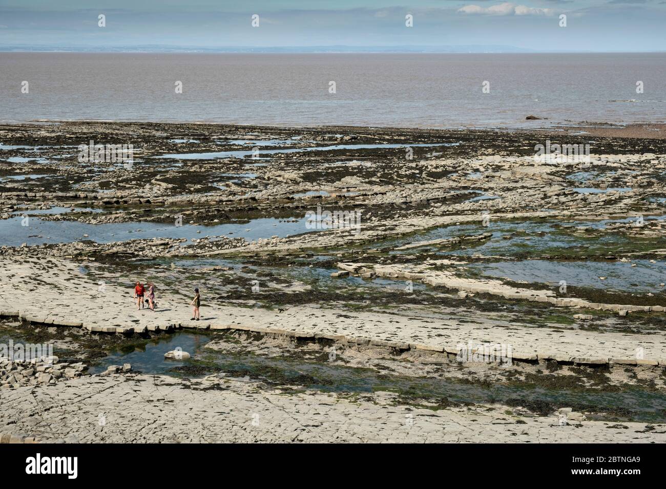Kilve Fossils High Resolution Stock Photography and Images - Alamy