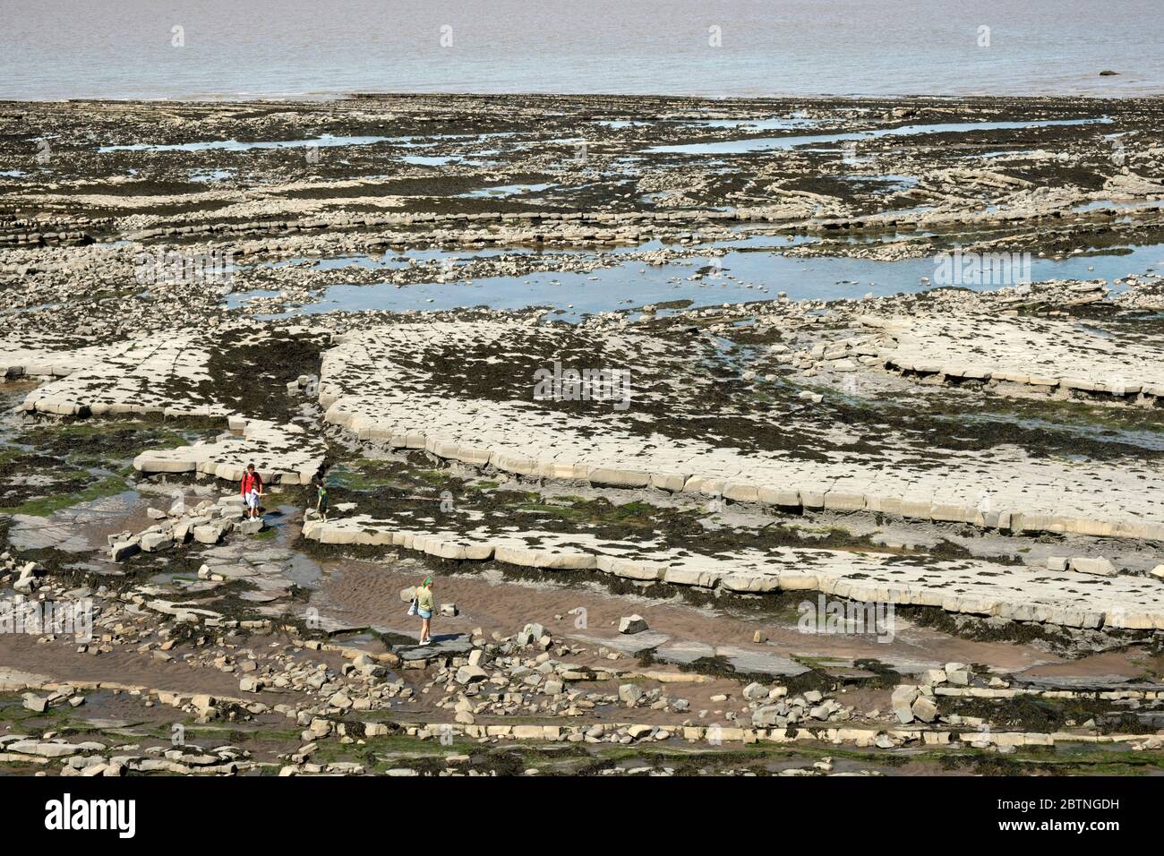 Kilve Beach, Somerset, UK, known for it's shale oil deposits and ...
