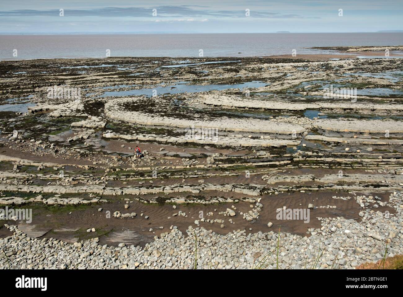 Kilve Beach, Somerset, UK, known for it's shale oil deposits and ...