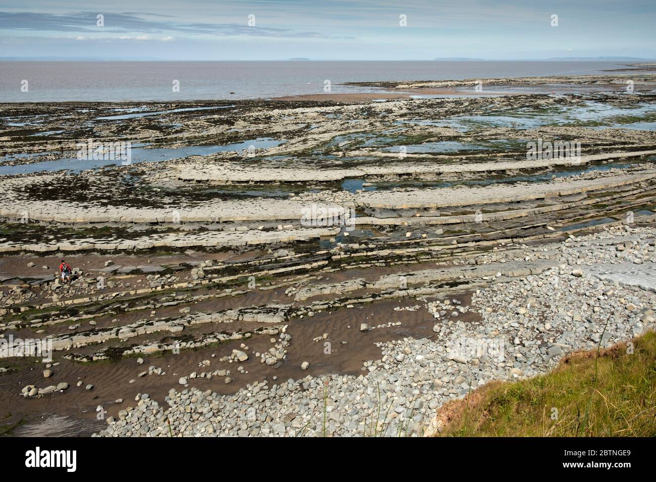 Kilve Beach, Somerset, UK, known for it's shale oil deposits and ...