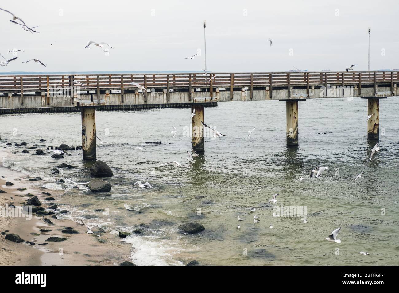 Seagulls flying over water pier hi-res stock photography and images - Alamy