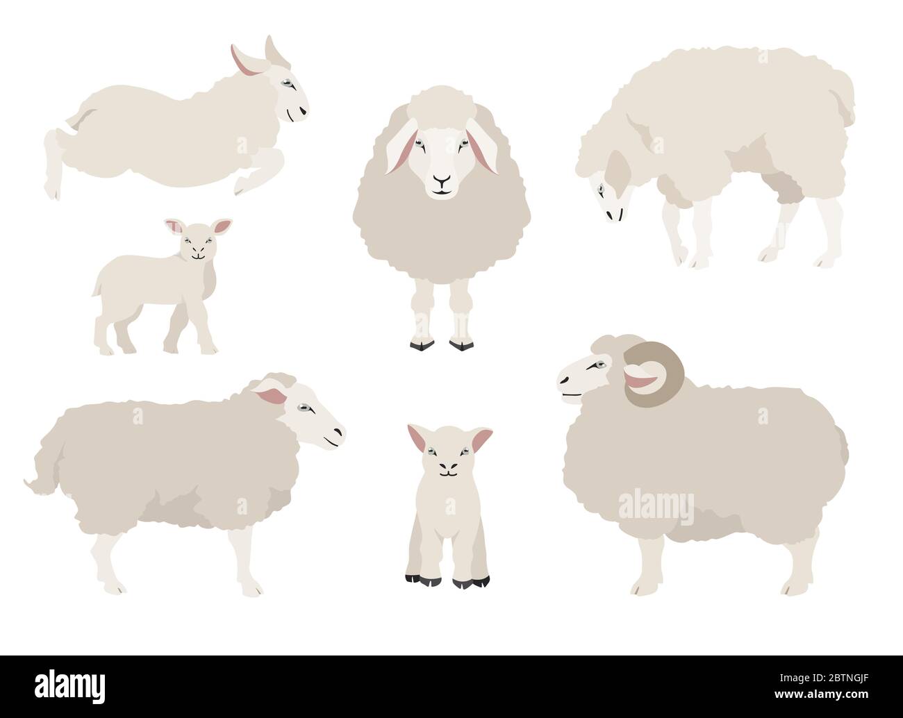 Ewe Face Memes Ewe Face Cut Out Stock Images & Pictures Alamy