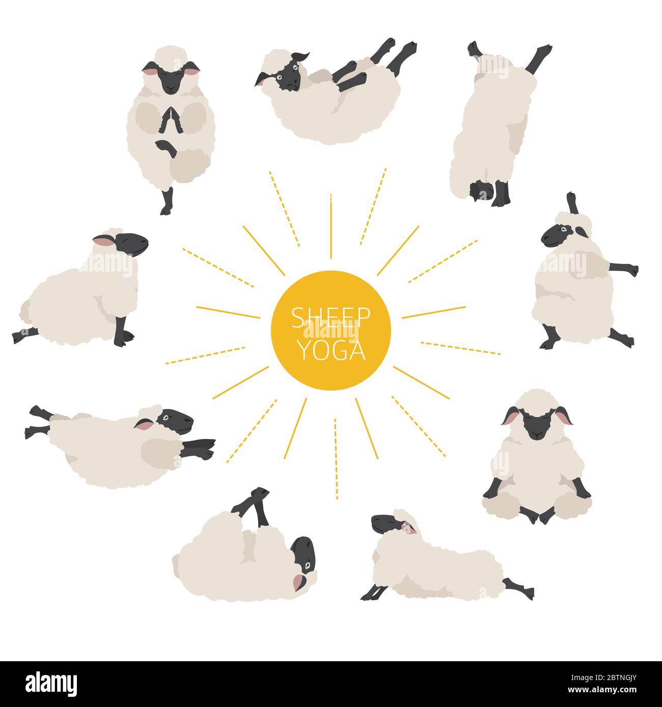 Sheep yoga poses collection. Farm animals set. Flat design. Vector ...