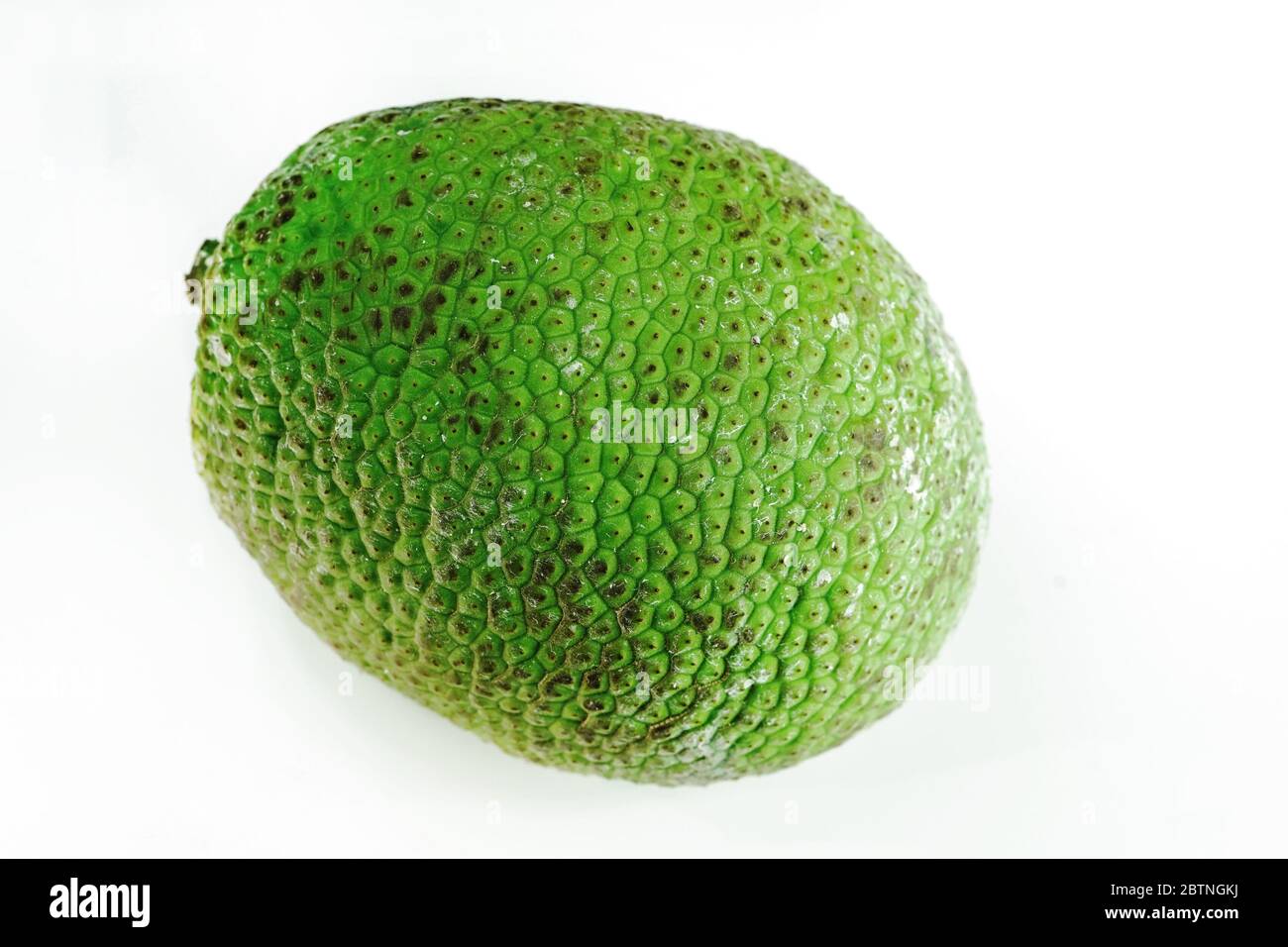 Natural green background selective focus Cut Out Stock Images ...