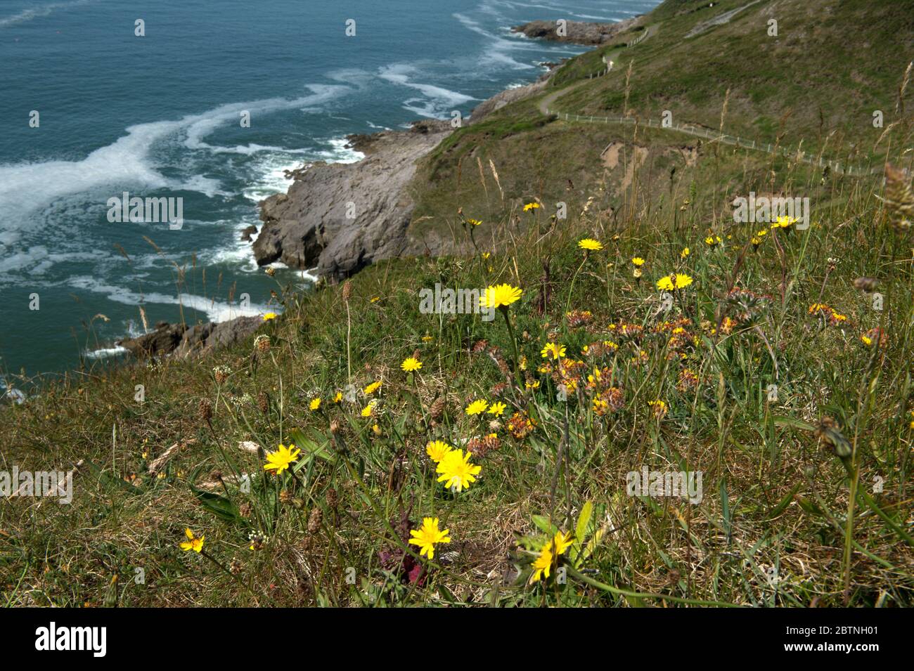 Gower coastal path hi-res stock photography and images - Alamy