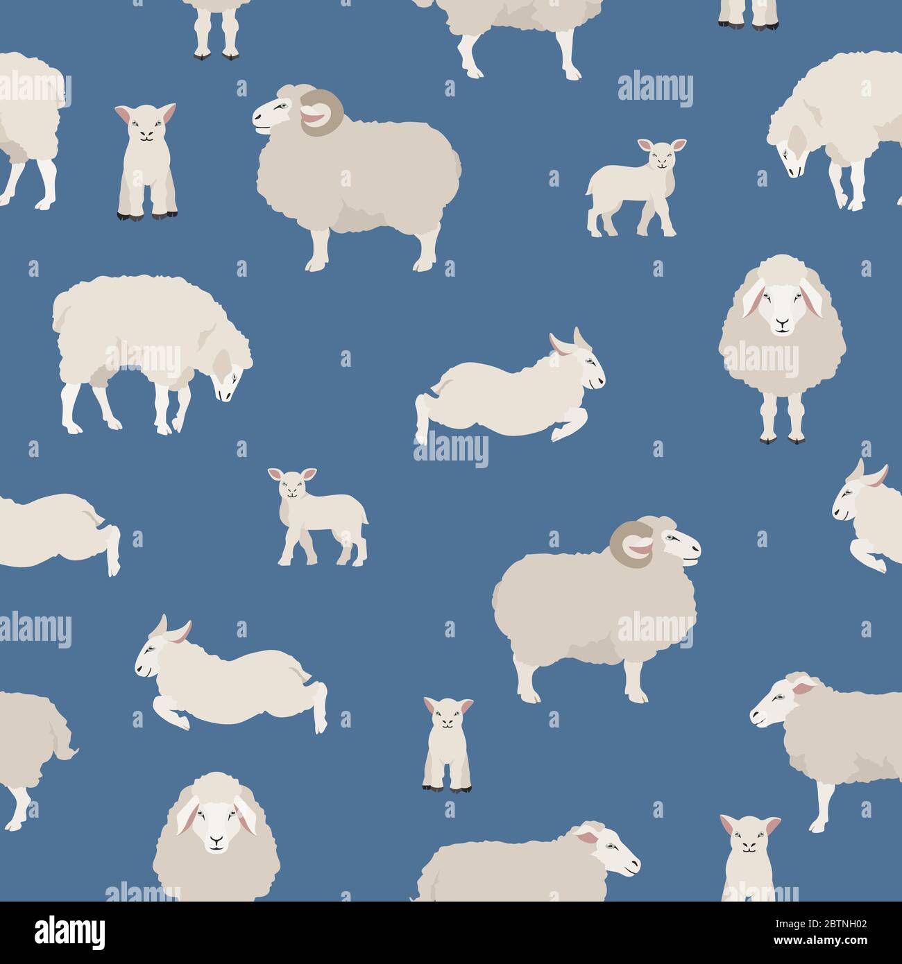 Sheep poses seamless pattern. Farm animals set. Flat design. Vector ...