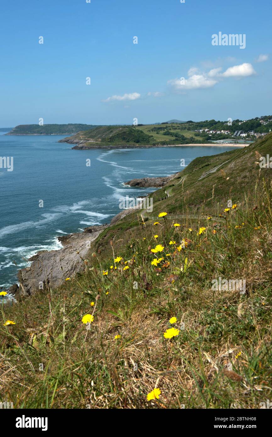 Spring coast path flowers hi-res stock photography and images - Alamy