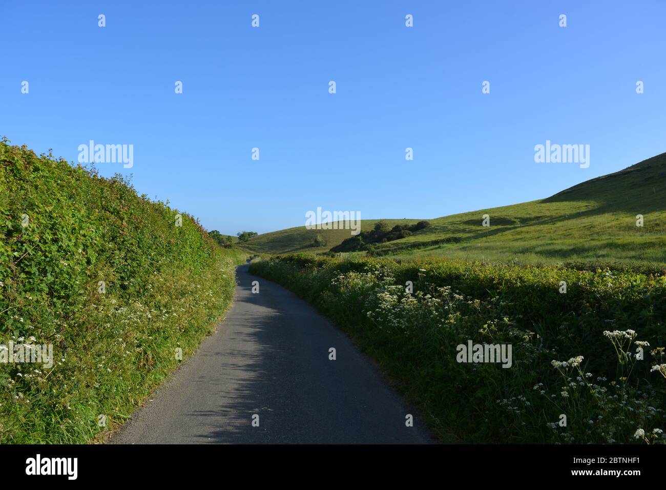 Sherborne dorset early spring hi-res stock photography and images - Alamy