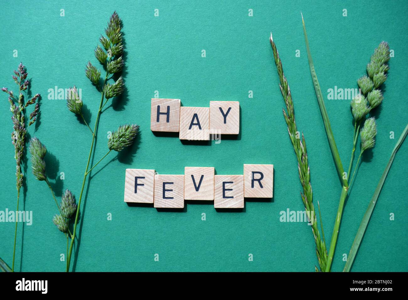 Hay Fever, words in wooden alphabet letters with fresh green grasses ...