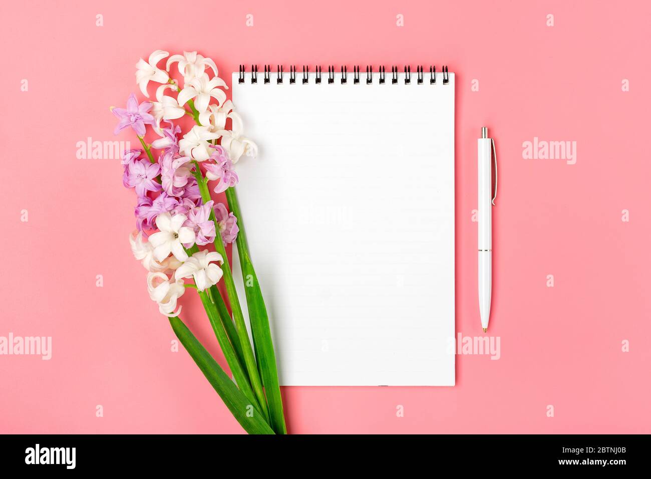 open white notebook, pen, bouquet of hyacinths flowers on pink ...