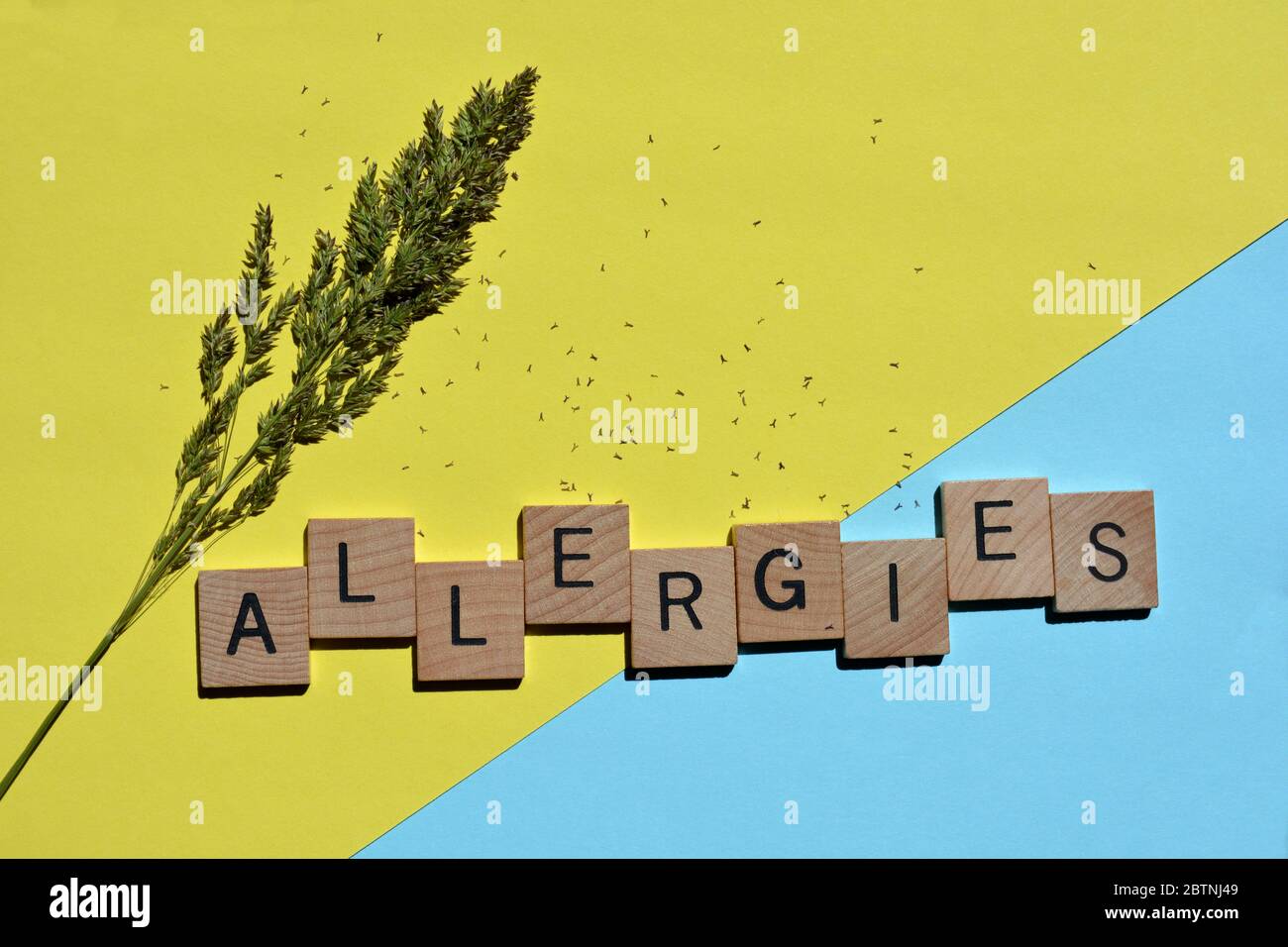 Allergies, word in wooden alphabet letters with grass flower and seeds ...