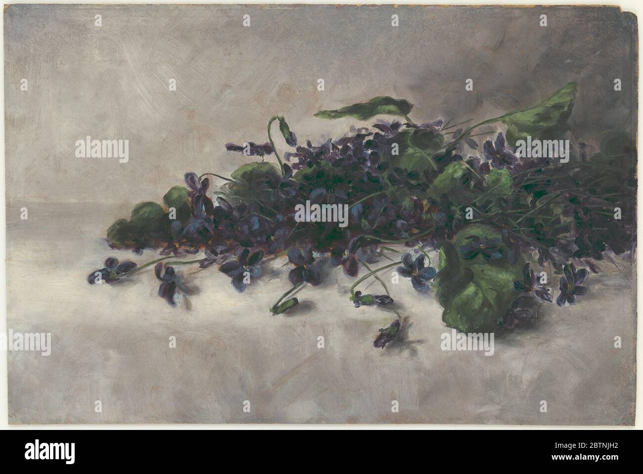 Violets. This oil painting depicts a cluster of violets against a light ...