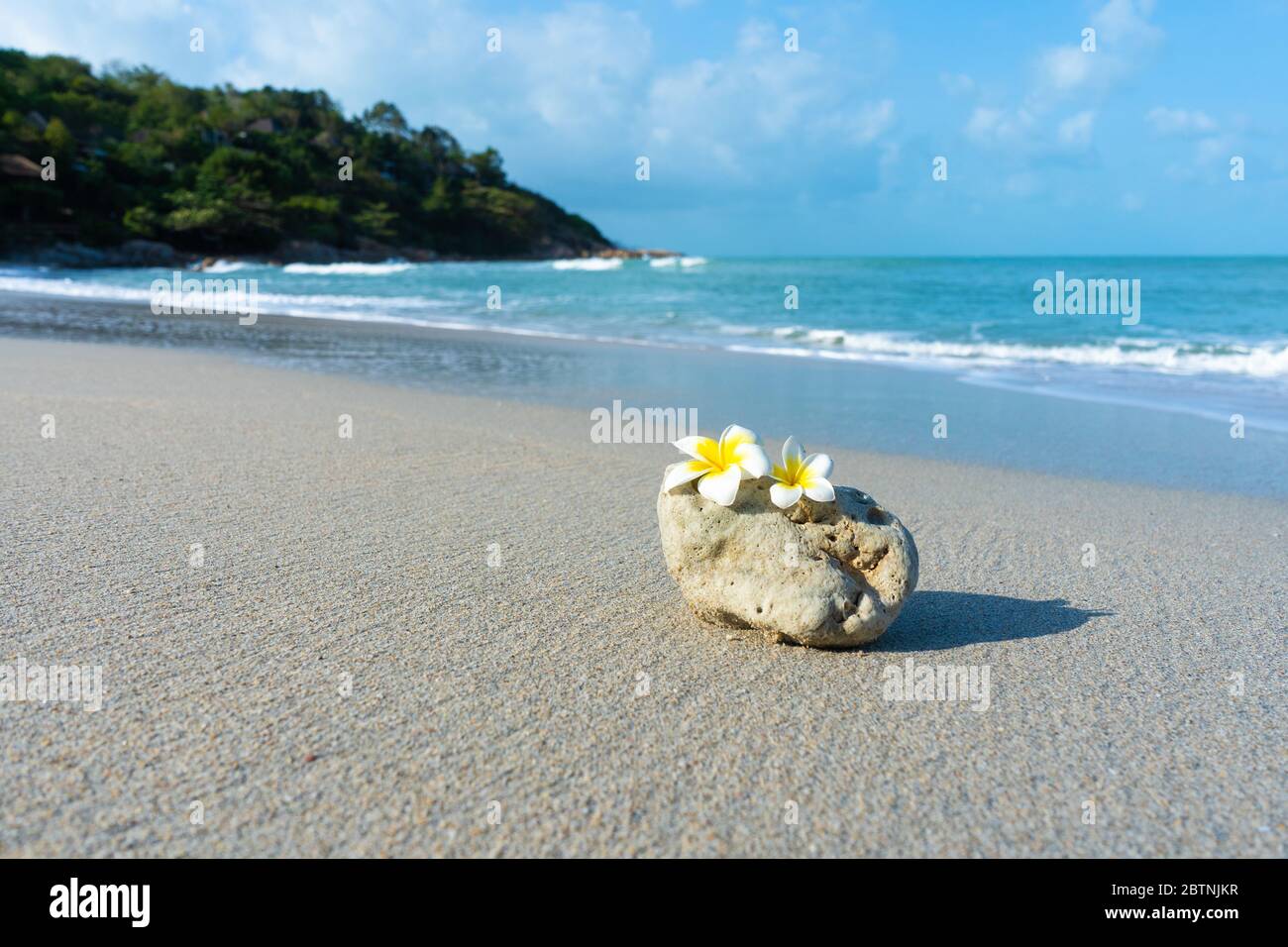 A small stone of an interesting smooth form is washed by waves on the ...
