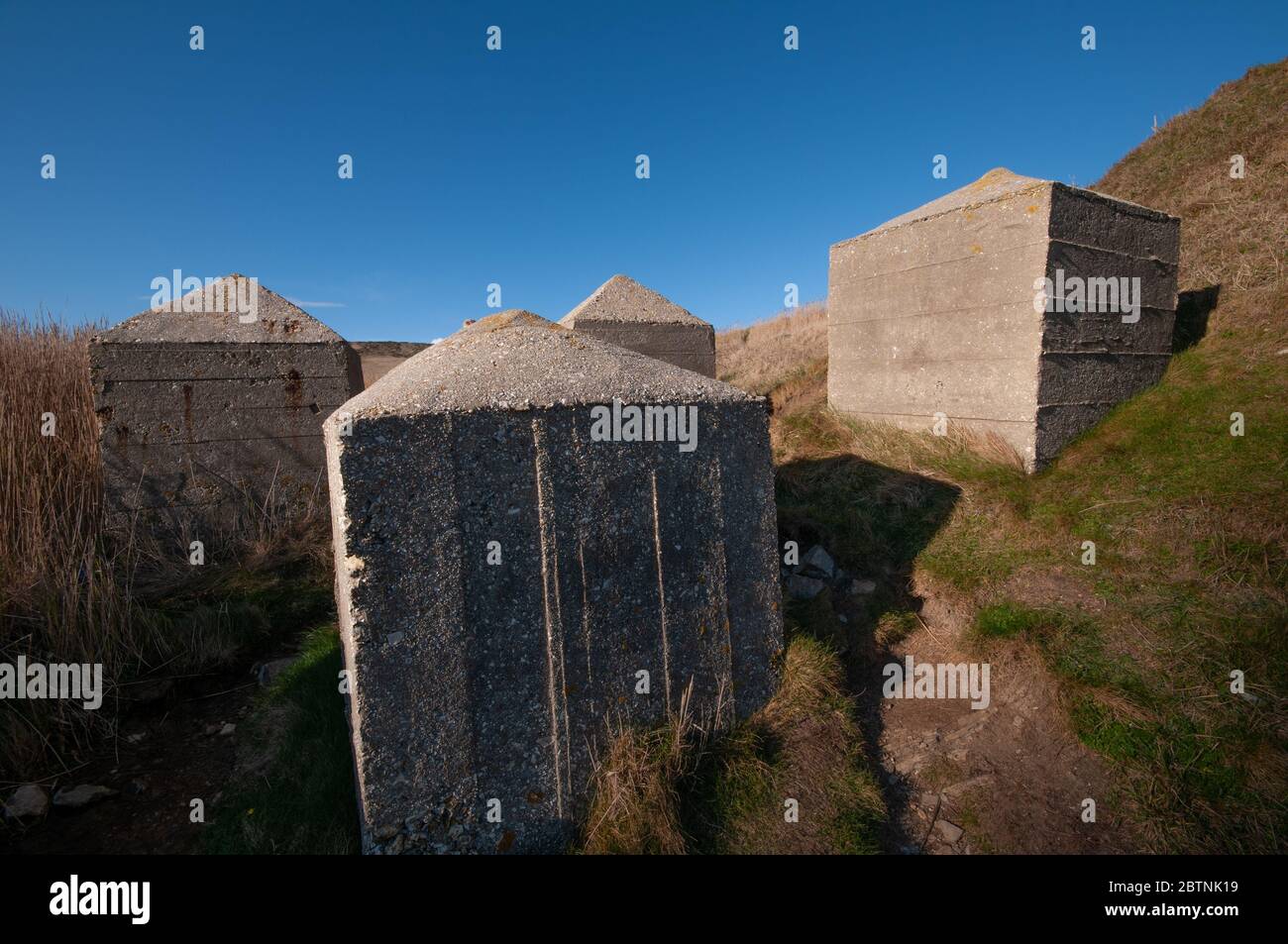 Anti-tank defences from WW2 at Worbarrow Bay in Dorset, England Stock ...