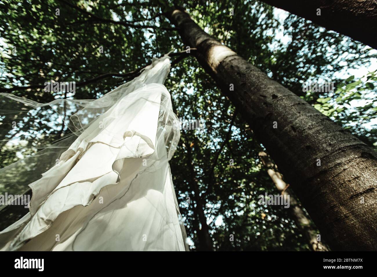 Wedding dress hanging in tree hi-res stock photography and images - Alamy