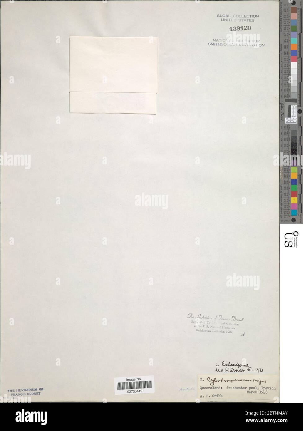 Anabaena bacteria hi-res stock photography and images - Alamy