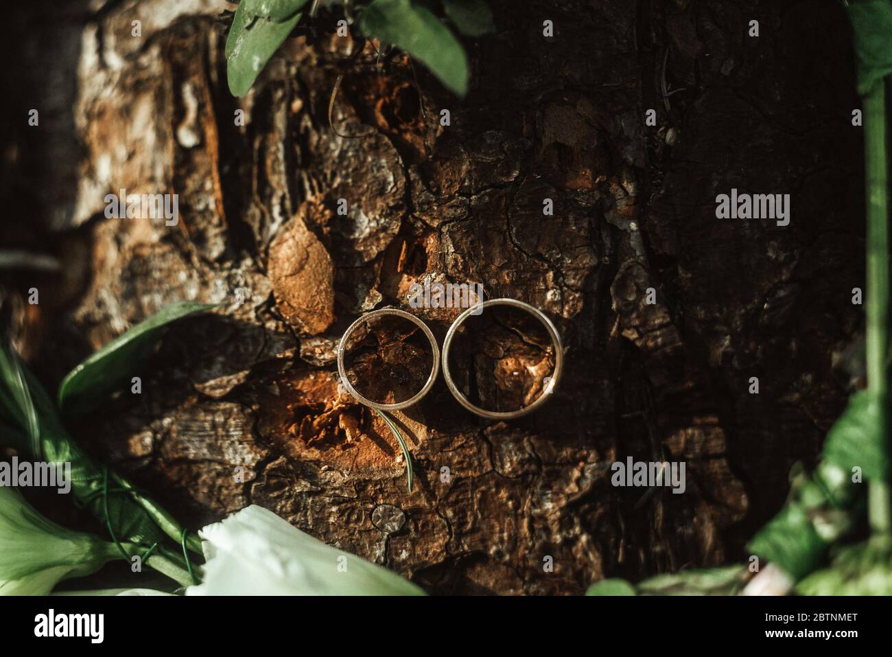 amazing stylish wedding rings near a rustic wreath on a tree in the ...