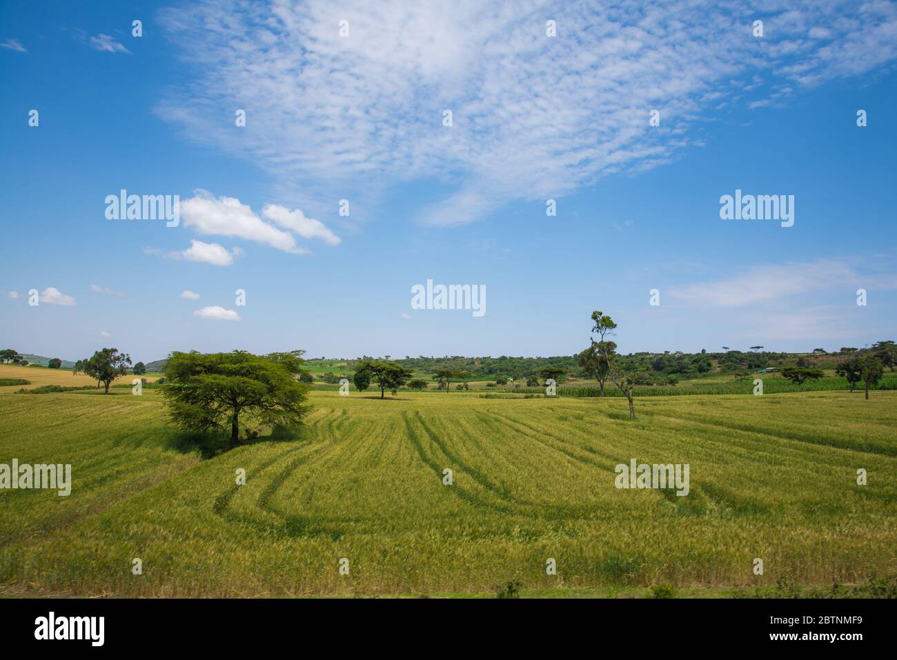 African Farmland and landscapes from Kenya Stock Photo - Alamy