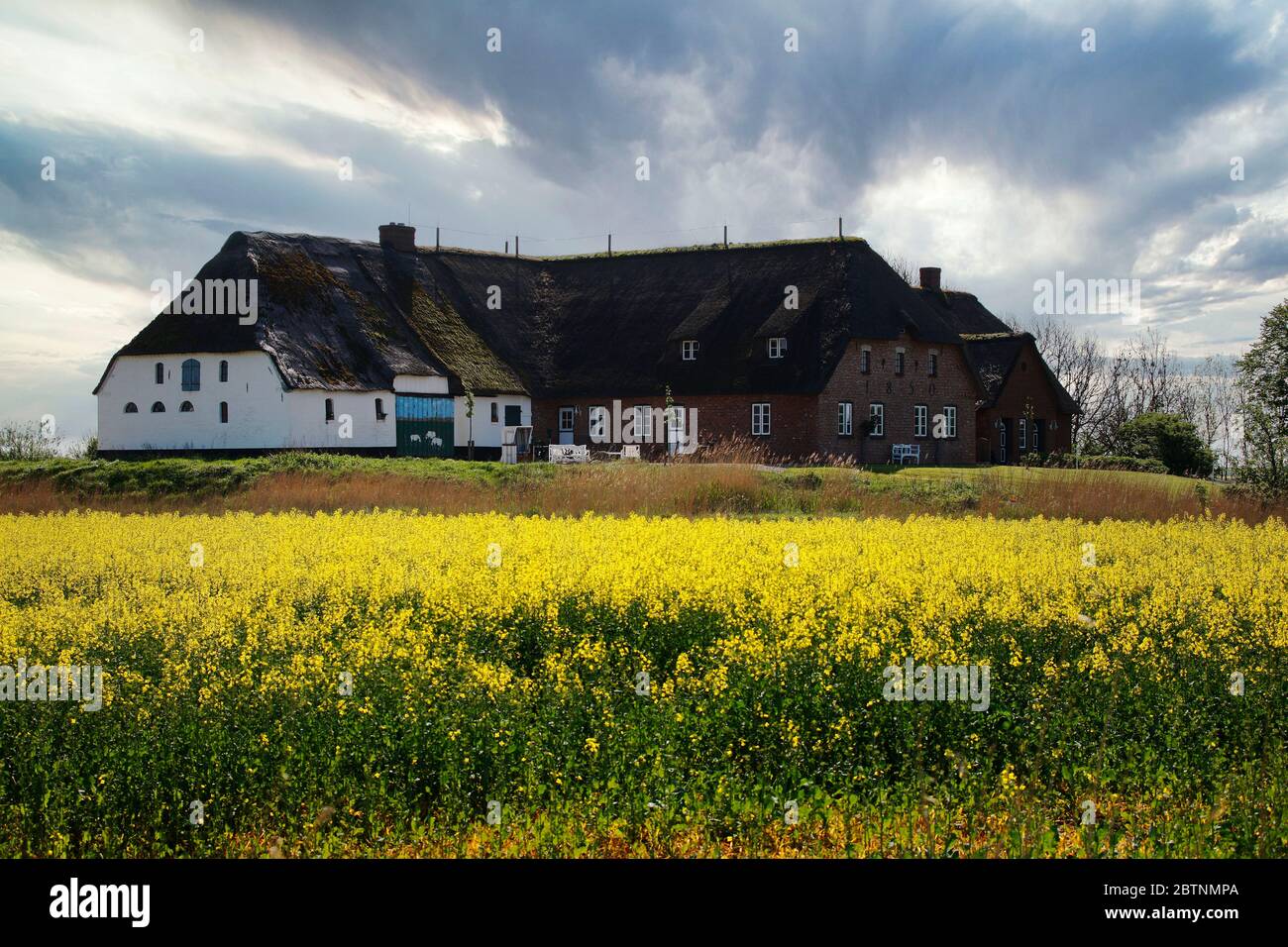 The Peninsula Nordstrand in Germany, Europe Stock Photo - Alamy