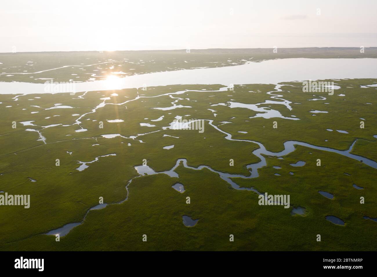 Narrow channels meander through a salt marsh on Cape Cod, Massachusetts ...