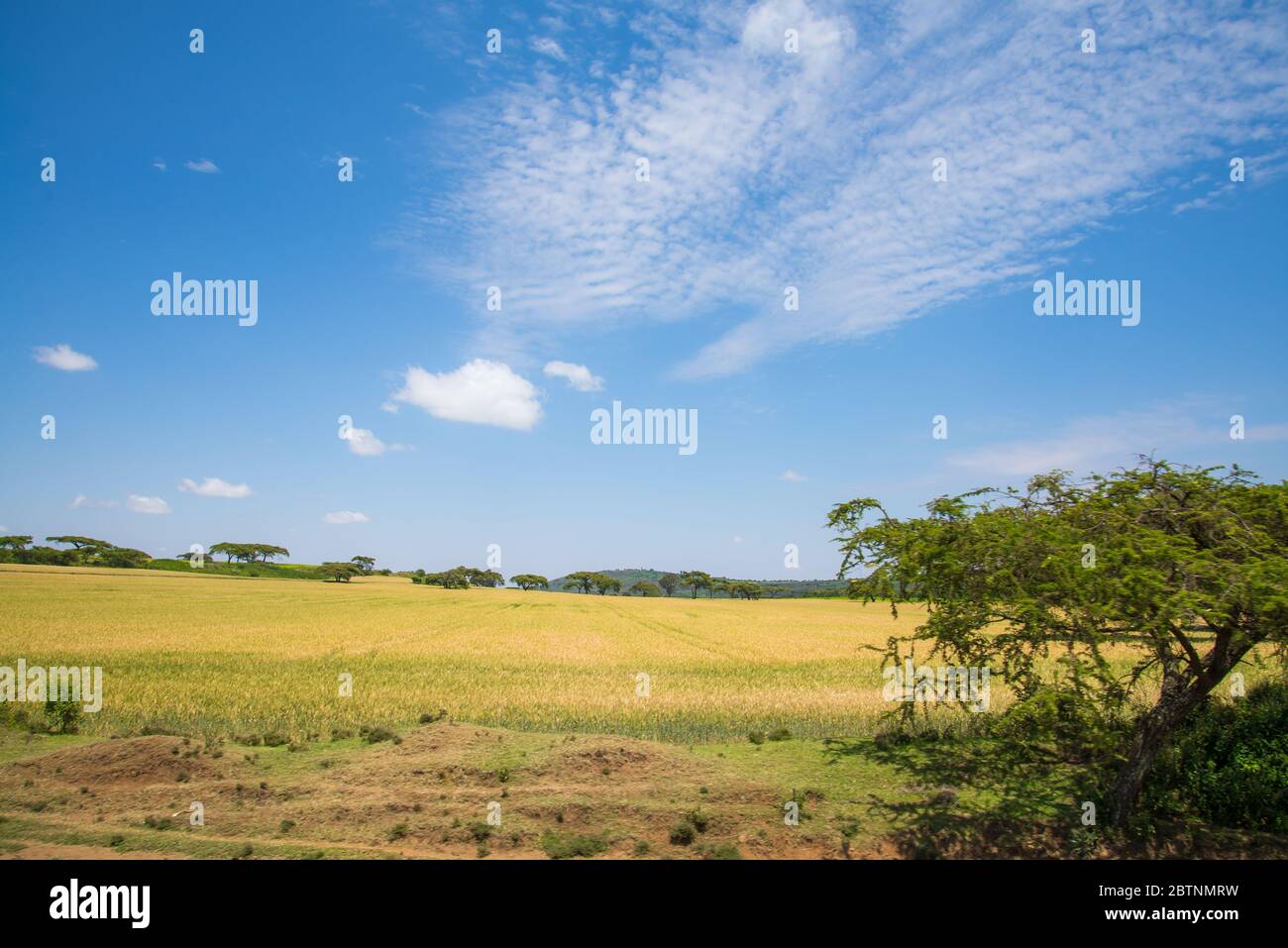 African Farmland and landscapes from Kenya Stock Photo - Alamy