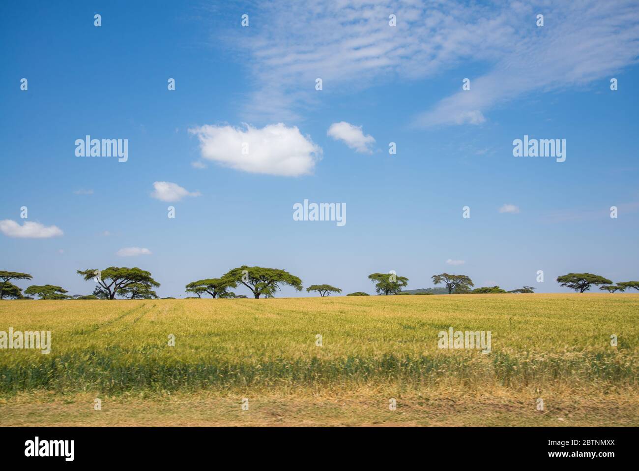 African Farmland and landscapes from Kenya Stock Photo - Alamy