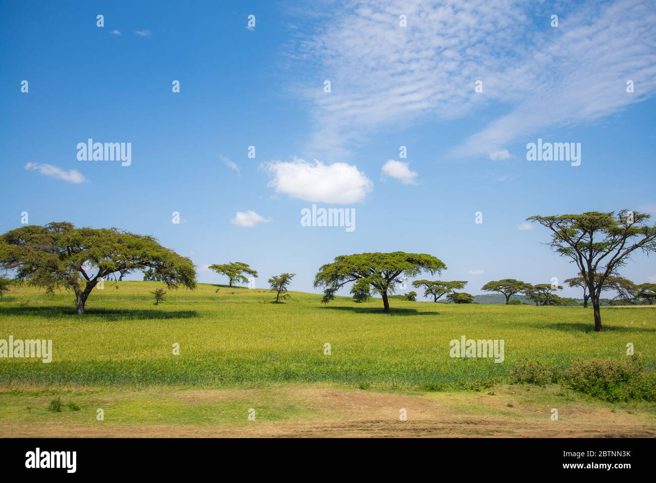 African Farmland and landscapes from Kenya Stock Photo - Alamy