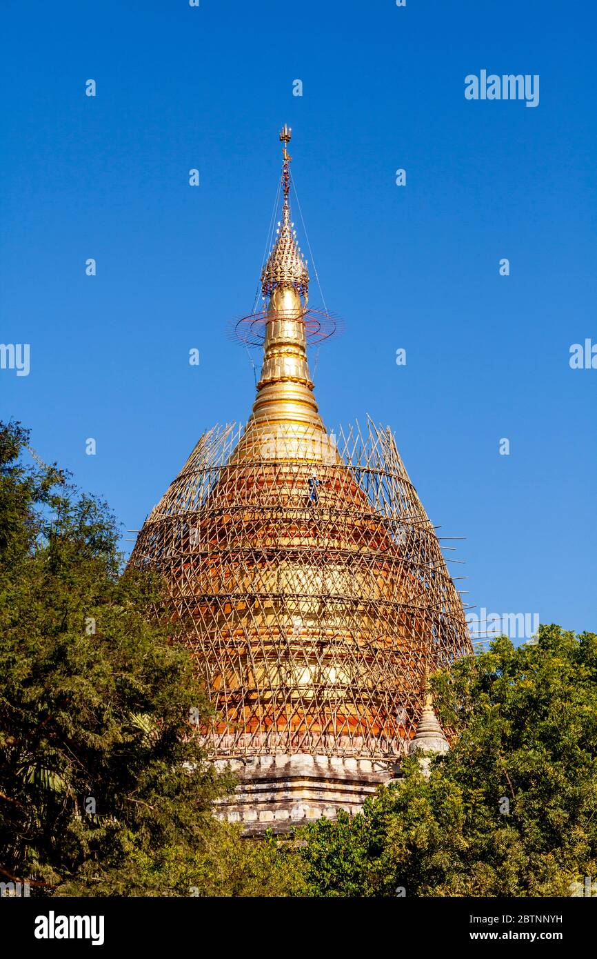 A Temple Stupa Covered In Wooden Scaffolding, Bagan, Mandalay Region ...
