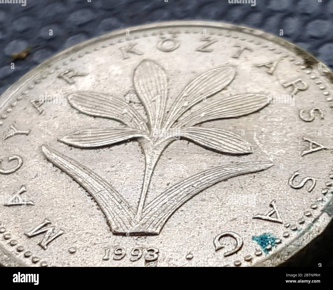 dirty and dusty coin on black background,hungary money Stock Photo - Alamy