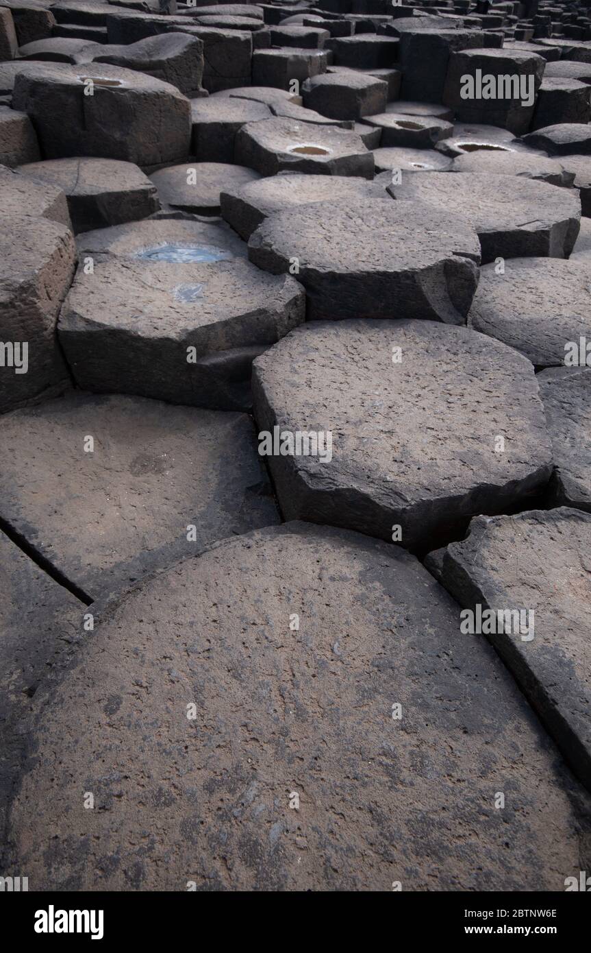 Hexagonal columns of Basalt, The Giants Causeway, Co. Antrim Stock ...