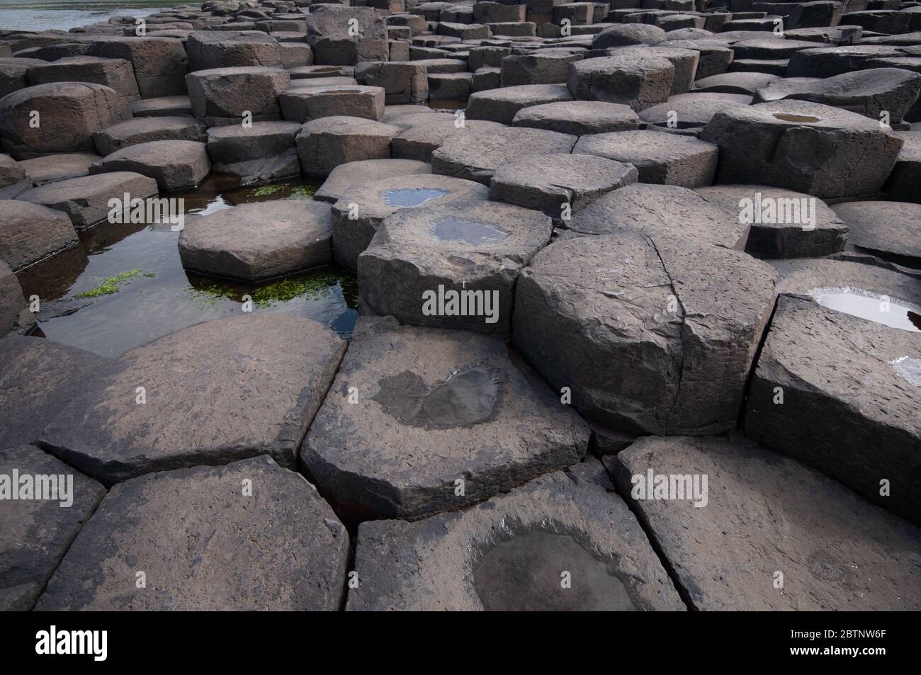 Hexagonal columns of Basalt, The Giants Causeway, Co. Antrim Stock ...