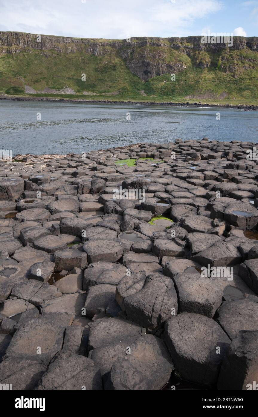 Basalt columns on the Giants Causeway, Co. Antrim Stock Photo - Alamy