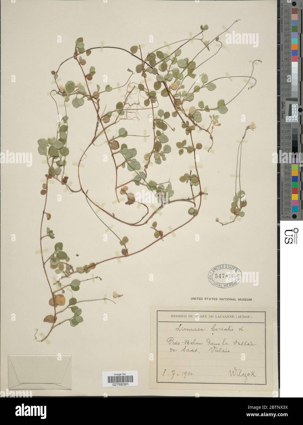 L borealis hi-res stock photography and images - Alamy