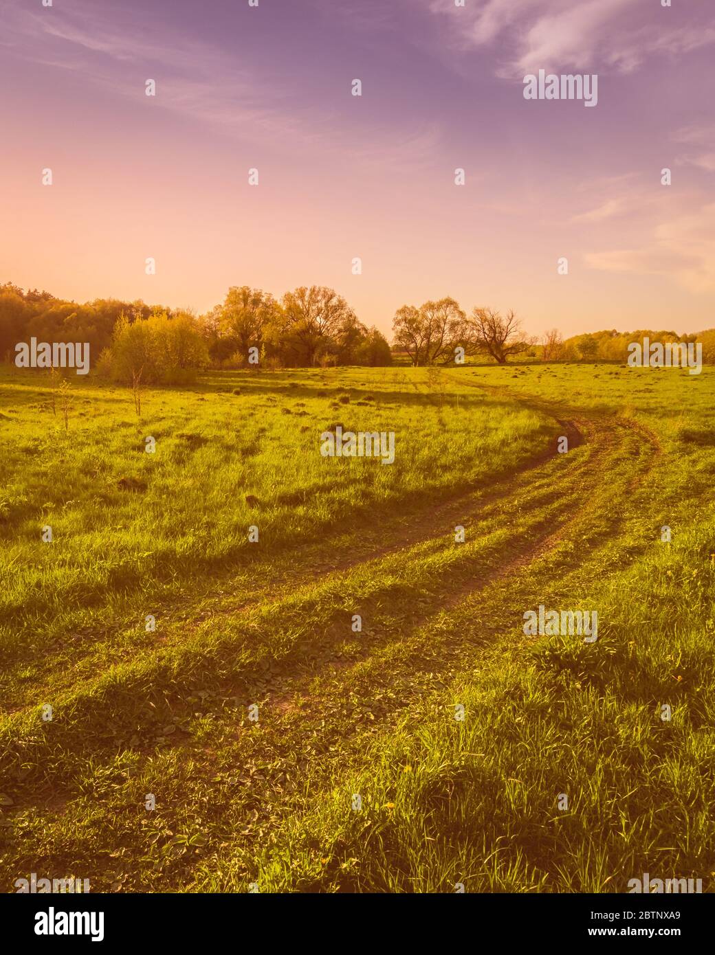 Sunset or dawn in a spring field with green grass, a path with tire ...