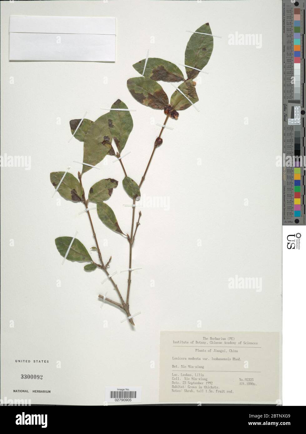Modesta hi-res stock photography and images - Alamy