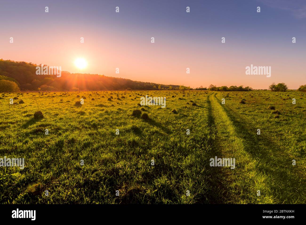 Sunset or dawn in a spring field with green grass, a path with tire ...